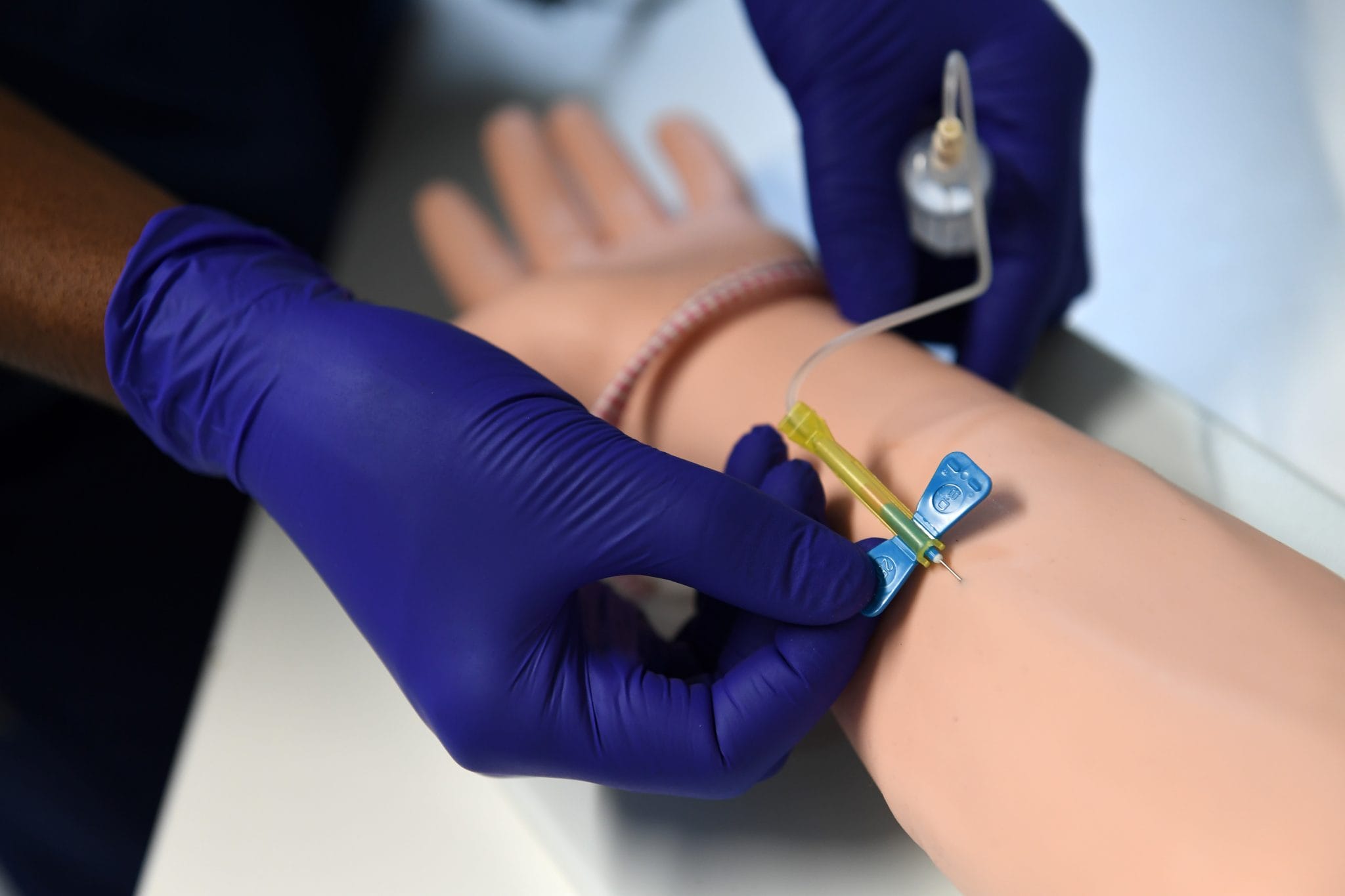 Blended Phlebotomy Course (Venepuncture)%%page%% | ECG Training